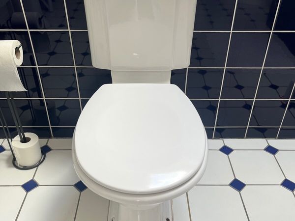 Traditional Style Toilet for sale in Co. Cork for €40 on DoneDeal