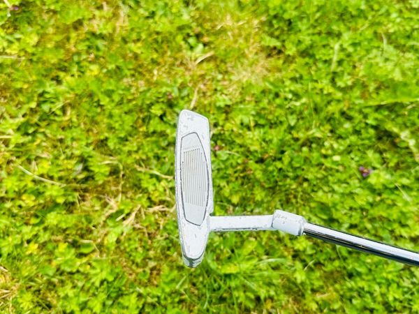 TaylorMade White Smoke IN-12 Putter for sale in Co. Cork for €35 on ...