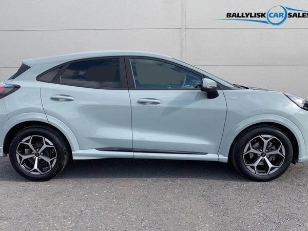 Ford Puma 1.0t 125PS St-line in Cactus Grey With for sale in Co. Armagh ...