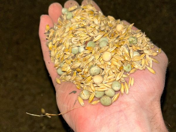 Pea/Barley/Oat Combi Feed for sale in Co. Meath for €650 on DoneDeal