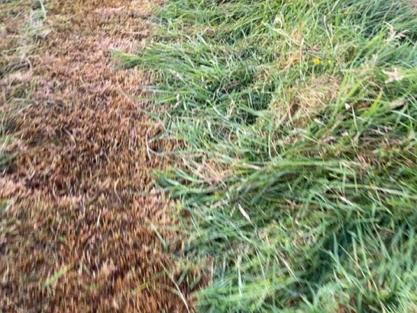 Silage for sale in Co. Clare for €1,234 on DoneDeal