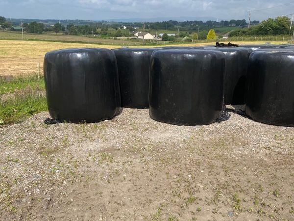Round bales silage for sale in Co. Tyrone for £26 on DoneDeal