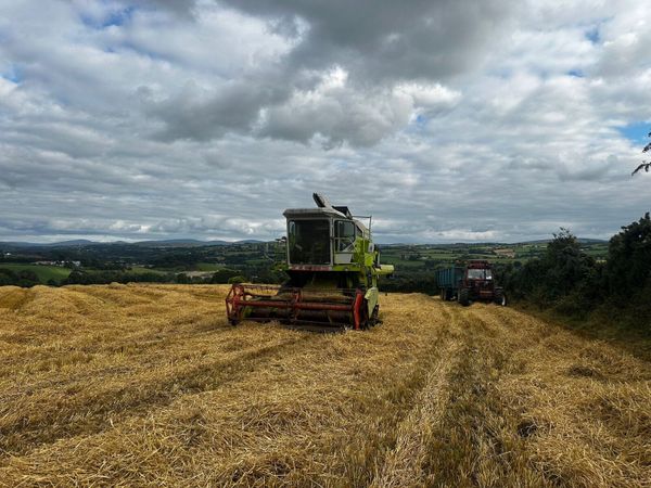 Class dominator header for sale in Co. Tyrone for £1,000 on DoneDeal