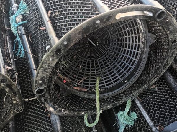 150 Shrimp Pots for sale in Co. Galway for €15 on DoneDeal