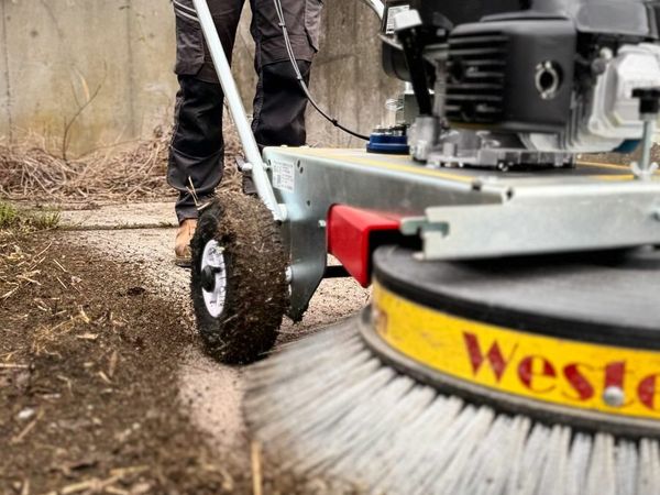 Westermann Moss Brush for sale in Co. Dublin for €1 on DoneDeal