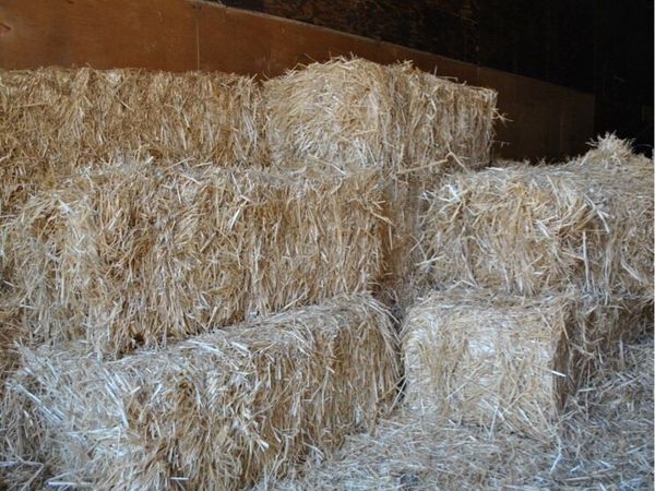Hay and barley Straw Square Bales for sale in Co. Meath for €4 on DoneDeal