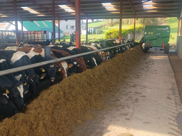 Winter cattle cubicle housing B&B for sale in Co. Tyrone for £1,234 on ...
