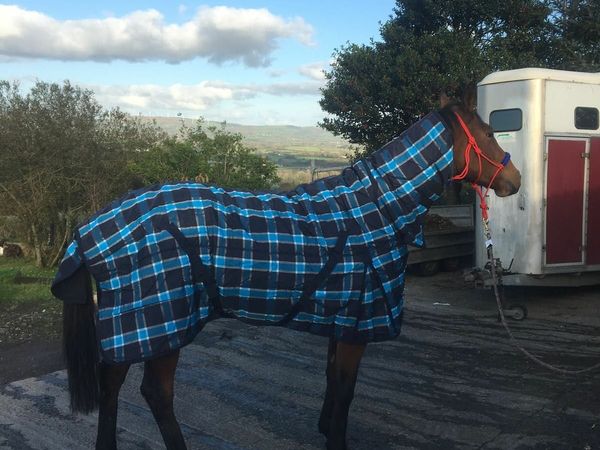Turnout and Stable Rugs available for sale in Co. Cork for €70 on DoneDeal