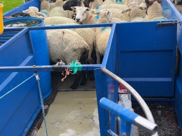 Sheep tub dipping for sale in Co. Kilkenny for €12,345 on DoneDeal