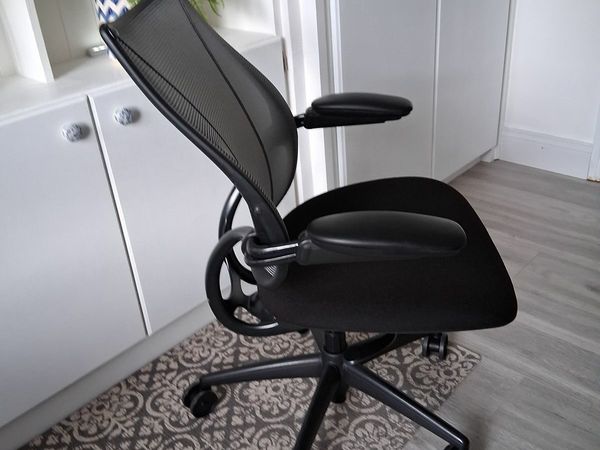 Humanscale Ergonomic Office Chair for sale in Co. Dublin for €110 on ...