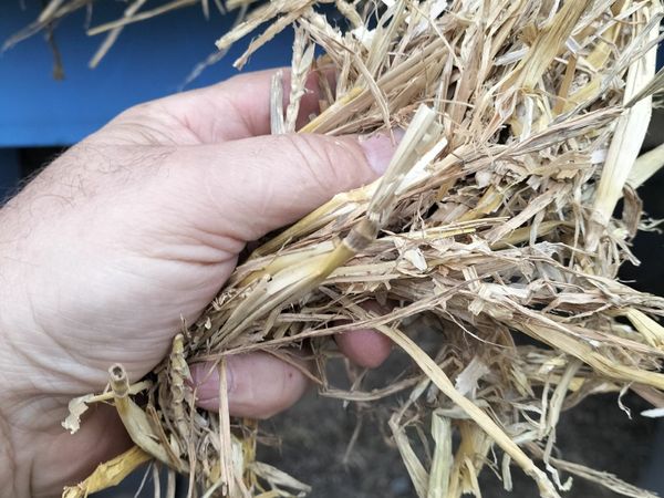 Straw for sale in Co. Tyrone for €123,456 on DoneDeal