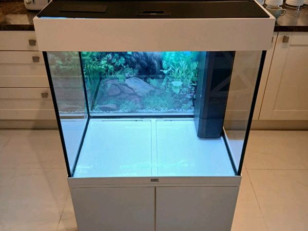 Fish tank for sale in Co. Dublin for €380 on DoneDeal