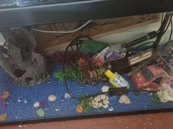 Fish tank + accessories for sale in Co. Kildare for €100 on DoneDeal