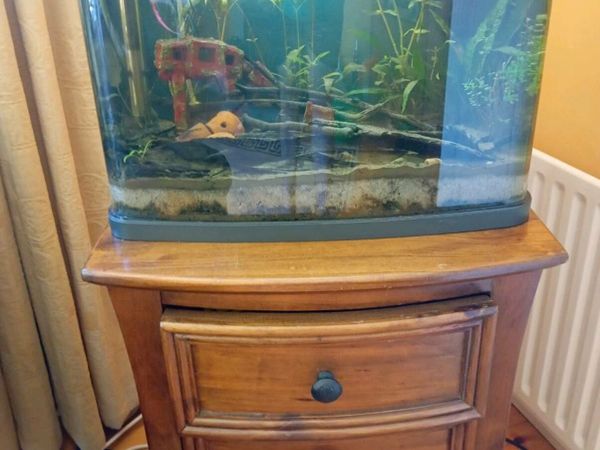 Love Fish 40L bow front Panorama aquarium for sale in Co. Dublin for € ...