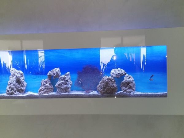 Wall Aquarium Fish Tank Panoramic 55" for sale in Co. Dublin for €450 ...