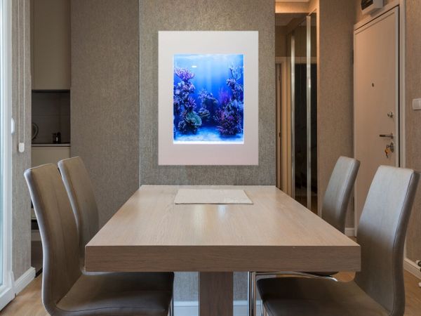 Wall Mounted Aquarium Fish tank Vertical for sale in Co. Dublin for € ...
