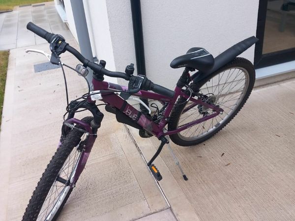 Bike for sale in Co. Cork for €100 on DoneDeal
