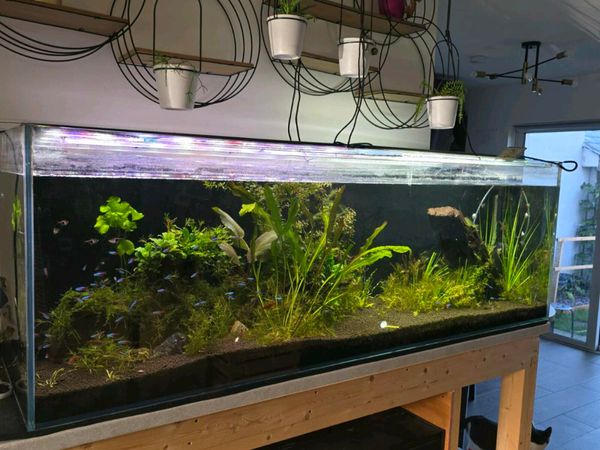 Fish tank for sale in Co. Cork for €400 on DoneDeal