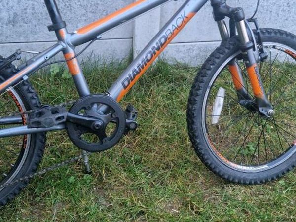 Kids 20 inch wheel bike ( serviced )( delivery ) for sale in Co. Dublin for €100 on DoneDeal