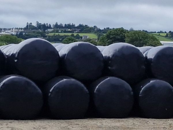 Hay, haylage, Silage, Beet for sale in Co. Cork for €1,234 on DoneDeal