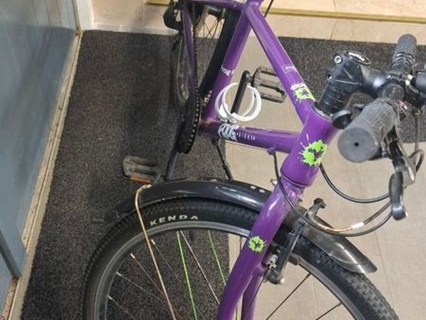 Childrens bike for sale in Co. Offaly for €200 on DoneDeal