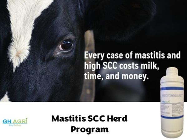 12 month SCC herd Program €14 per cow for sale in Co. Galway for €14 on ...