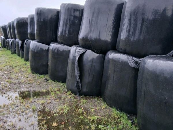 Slage bales(delivery anywhere) for sale in Co. Roscommon for €1 on DoneDeal