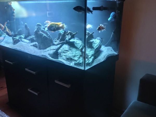 Aquarium fish tank for sale in Co. Wexford for €500 on DoneDeal