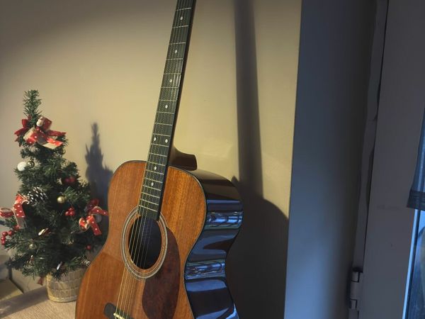 Brunswick Mahogany Gloss Acoustic Guitar BF200M for sale in Co. Dublin ...