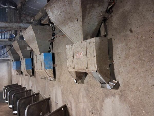 Cashman Air Feeders for sale in Co. Wexford for €1 on DoneDeal