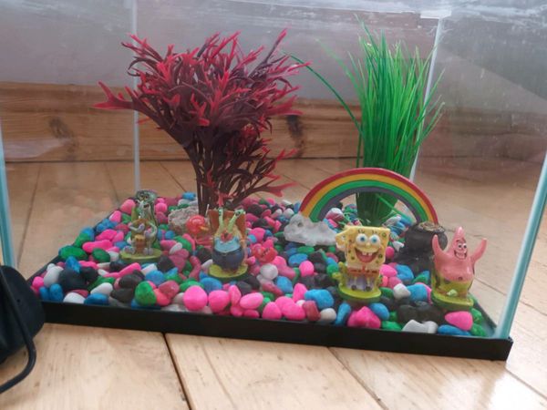 Fish tank and assesories for sale in Co. Waterford for €40 on DoneDeal