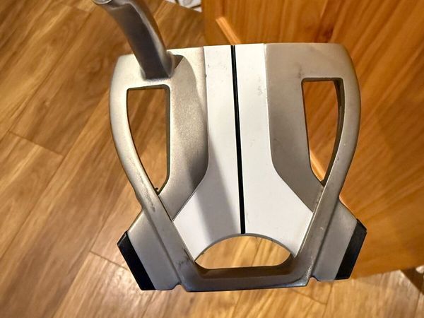 Spider X putter for sale in Co. Wexford for €180 on DoneDeal