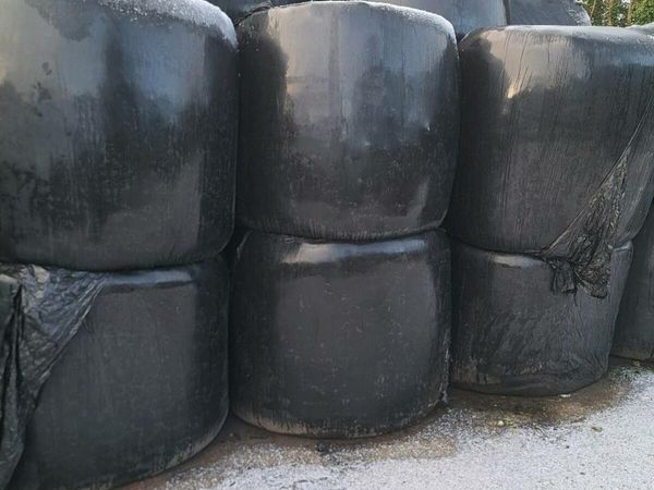 First Cut Silage Bales with siloking additive for sale in Co. Cavan for ...