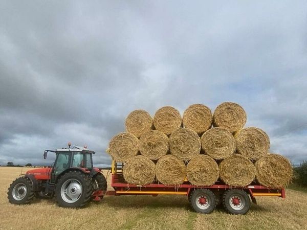 Barley Straw for sale in Co. Cork for €0 on DoneDeal