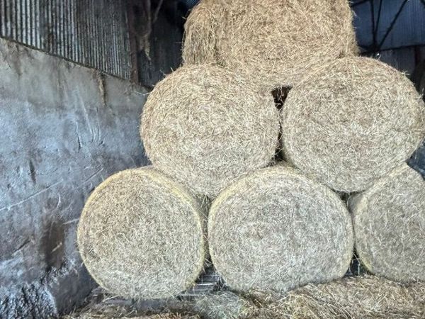 Round Hay Bales for sale in Co. Cork for €30 on DoneDeal