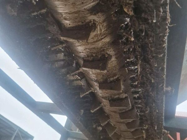 Beet chopper for sale in Co. Tipperary for €1,200 on DoneDeal
