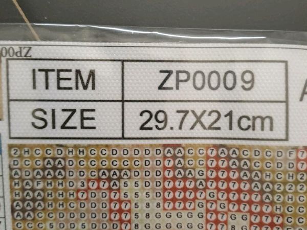 Framed Diamond Painting 5D for sale in Co. Leitrim for €8 on DoneDeal