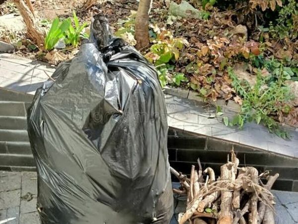 Man with a van for sale in Co. Dublin for €25 on DoneDeal