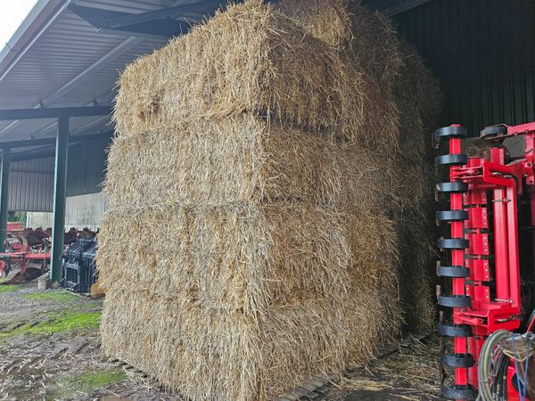 Barley straw for sale in Co. Waterford for €50 on DoneDeal