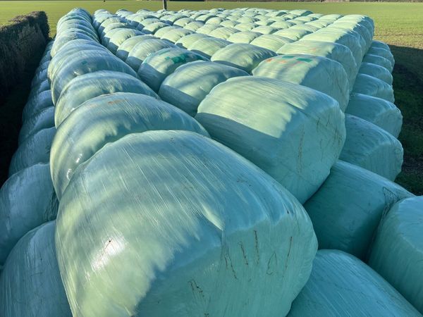 Silage for sale in Co. Kilkenny for €10 on DoneDeal
