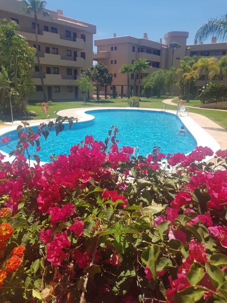 examples of 2025 woke washing | 1 Holidays & Tickets Ad For Sale in ...