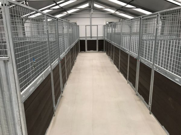 dogs and puppies | 36 All Sections Ads For Sale in Ireland | DoneDeal