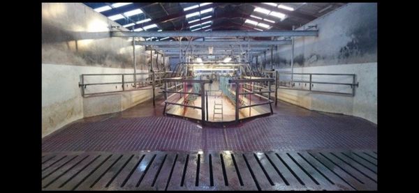 Milking Parlours Ads For Sale in Ireland | DoneDeal