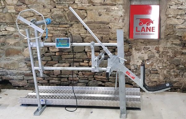 hoist | 3 Beef Cattle Ads For Sale in Ireland | DoneDeal