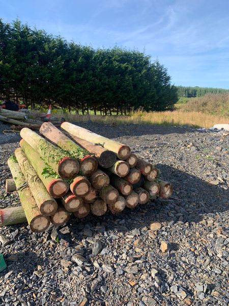 100-second-hand-bikes Fencing Equipment Ads For Sale in Ireland | DoneDeal