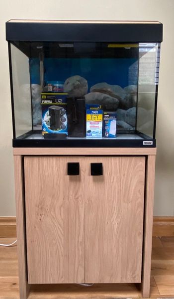 Fish Ads For Sale in Ireland | DoneDeal