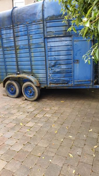 rice horse box | 18 All Sections Ads For Sale in Ireland | DoneDeal