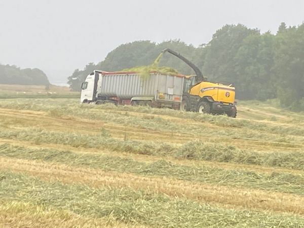 Hay & Forage Ads For Sale in Ireland | DoneDeal