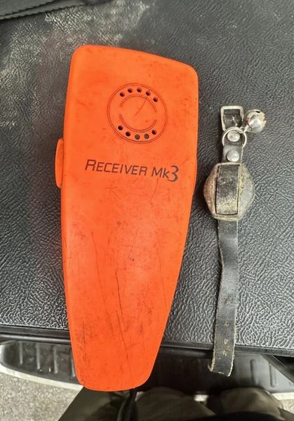 ferret | 9 All Sections Ads For Sale in Ireland | DoneDeal