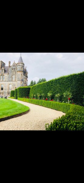 dressing-table Plants & Landscaping Ads For Sale in Ireland | DoneDeal